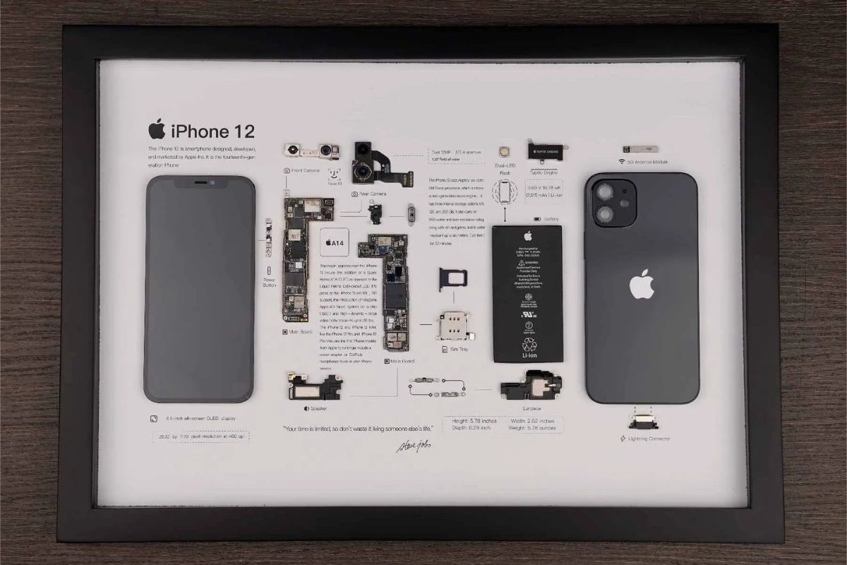 GRID Studio iPhone Teardown Frames | The Apple Post